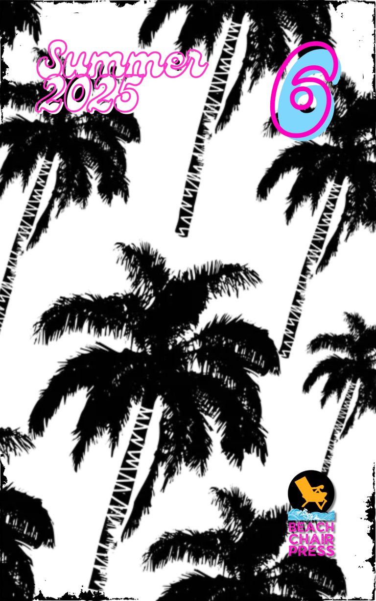 issue 6 – Beach Chair Press